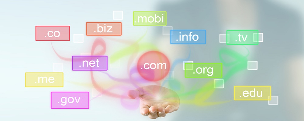 Guía sobre el registro de múltiples dominios